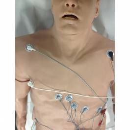 101-12-000L Simulaids 12-Lead Arrhythmia Simulator with Manikin Overlay ...