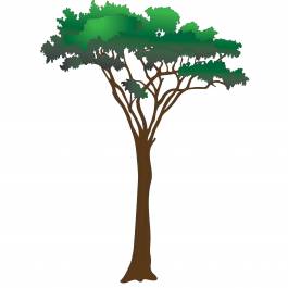 Clinton 14-CC Acacia Tree Wall Sticker