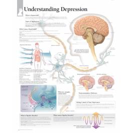 Scientific Publishing Understanding Depression Chart