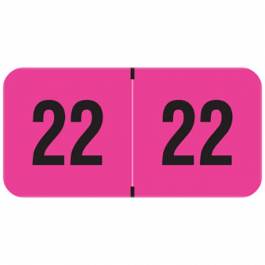 22-FPYM-T4 PMA Match Fluorescent Pink 2022 Year Labels 3/4"Hx1 1/2"W