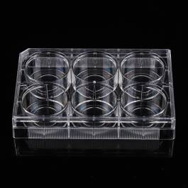 NEST Scientific Glass Bottom Cell Culture Plate