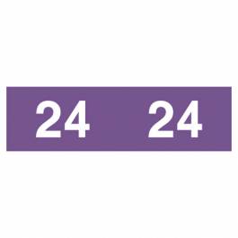 Arden ASYP-24-B45 2024 Year Labels Ames Compatible