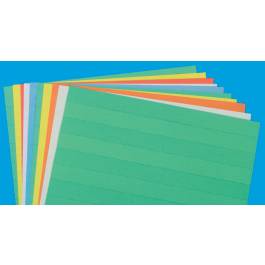 Magna Visual 3/4" H Perforated Full Sheet Data Cards