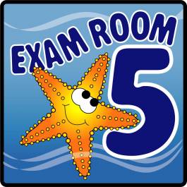 Clinton EX5-O Ocean Series Exam Room 5 Sign