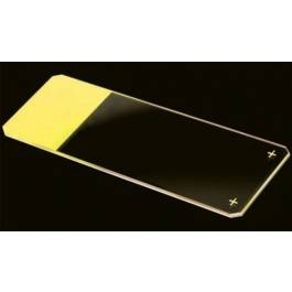 Positive Charged Microscope Slides Color Coded 45° Beveled Edges ...