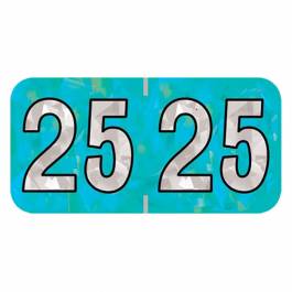 Arden HAYM-25-T4 Holographic Aqua 2025 Year Labels