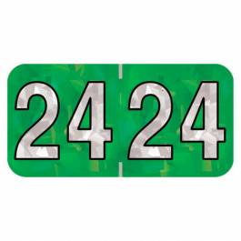 Arden HGYM-24-T4 2024 Year Labels Holographic Green