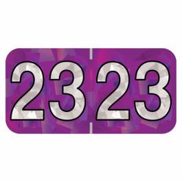 Arden Label HPYM-23-T4 2023 Year Labels Holographic Purple 0.75"H x 1.5"W