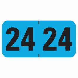 Arden MAYM-24-T4 2024 Year Labels Medical Arts Press Compatible MAYM Series