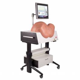 3B Scientific P80/1 SIMone Birthing Simulator