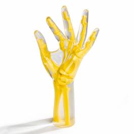 RSD Anthropomorphic Oblique Position Hand Wrist Phantom