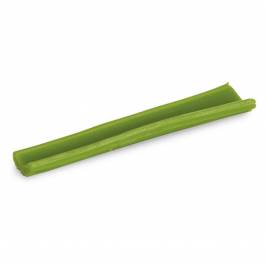 Nasco Life/form Celery Stick Food Replica