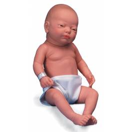 3B Scientific Caucasian Newborn Baby Care Model Male or Female
