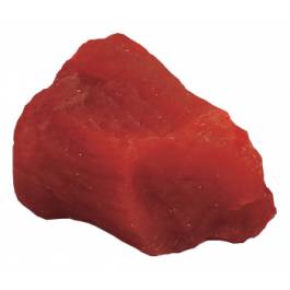 One Pound Muscle Replica Nasco WA14573