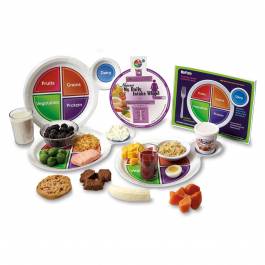 Nasco Life/form Mini MyPlate Food Replica Kit
