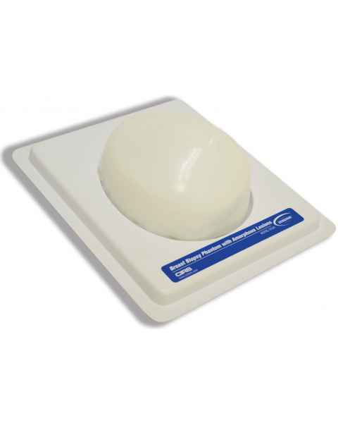 Medical Phantoms | Medical Diagnostic Imaging Phantoms