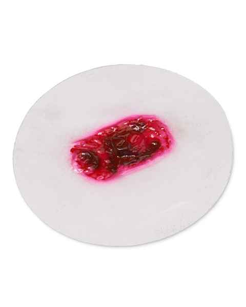 Page 5 | Moulage Training | Moulage Kits | Wound Simulation