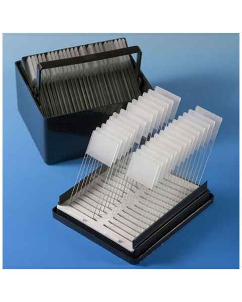 Slide Staining Kits | Microscopy Staining Kits | Microscope Slide ...