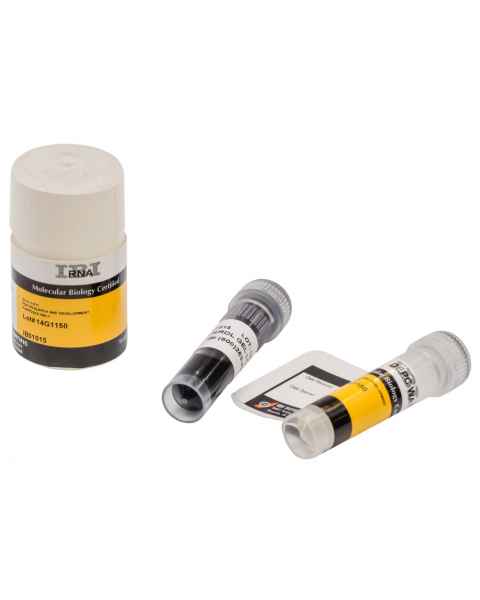 Loading Dyes | Tracking Dyes | Loading Buffers