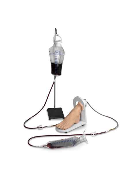 Page 3 | IV Training Models | Medical IV Practice Models