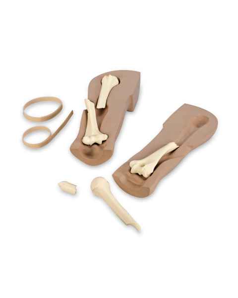 Page 14 | Medical Training Models | Medical Patient Simulators