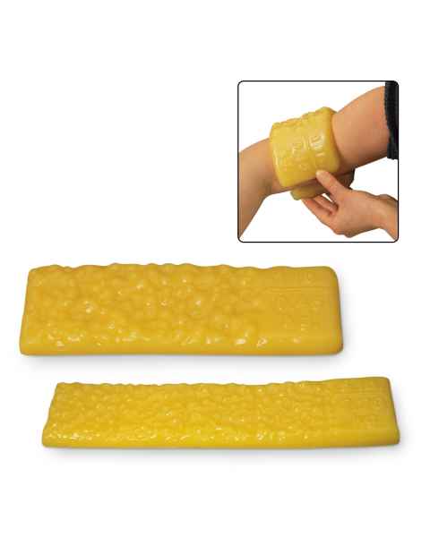 Exercise & Diet Education Anatomy Models