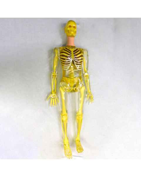 Page 3 | Medical Phantoms | Medical Diagnostic Imaging Phantoms