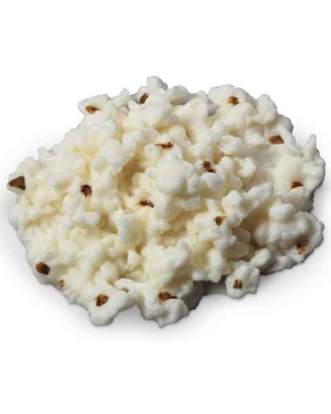 Food Replicas | Food Models | Fake Foods