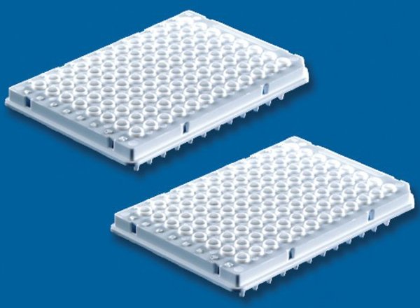 BrandTech BRAND PP White 96-Well Real-Time PCR Plate 0.2mL
