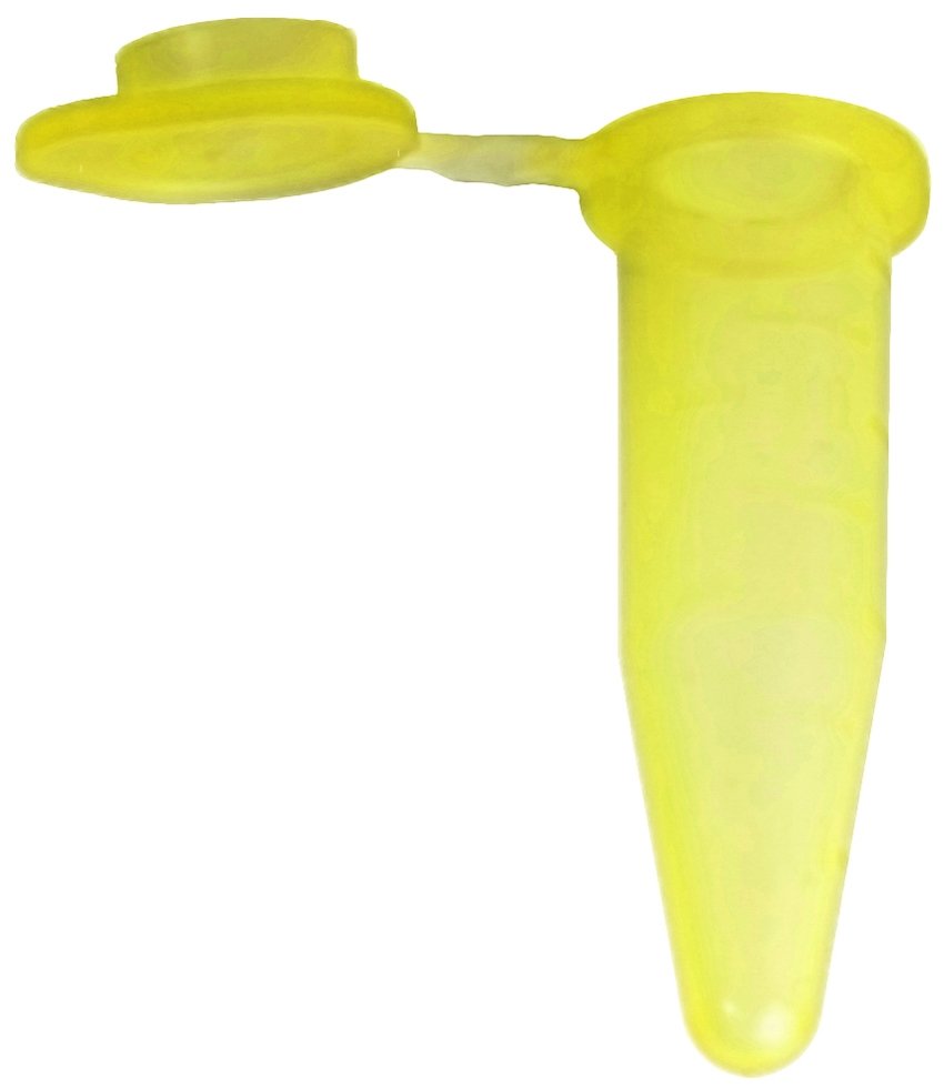 0.2mL Conical Thin Wall Micro Reaction Tube with Attached Cap PP Tube