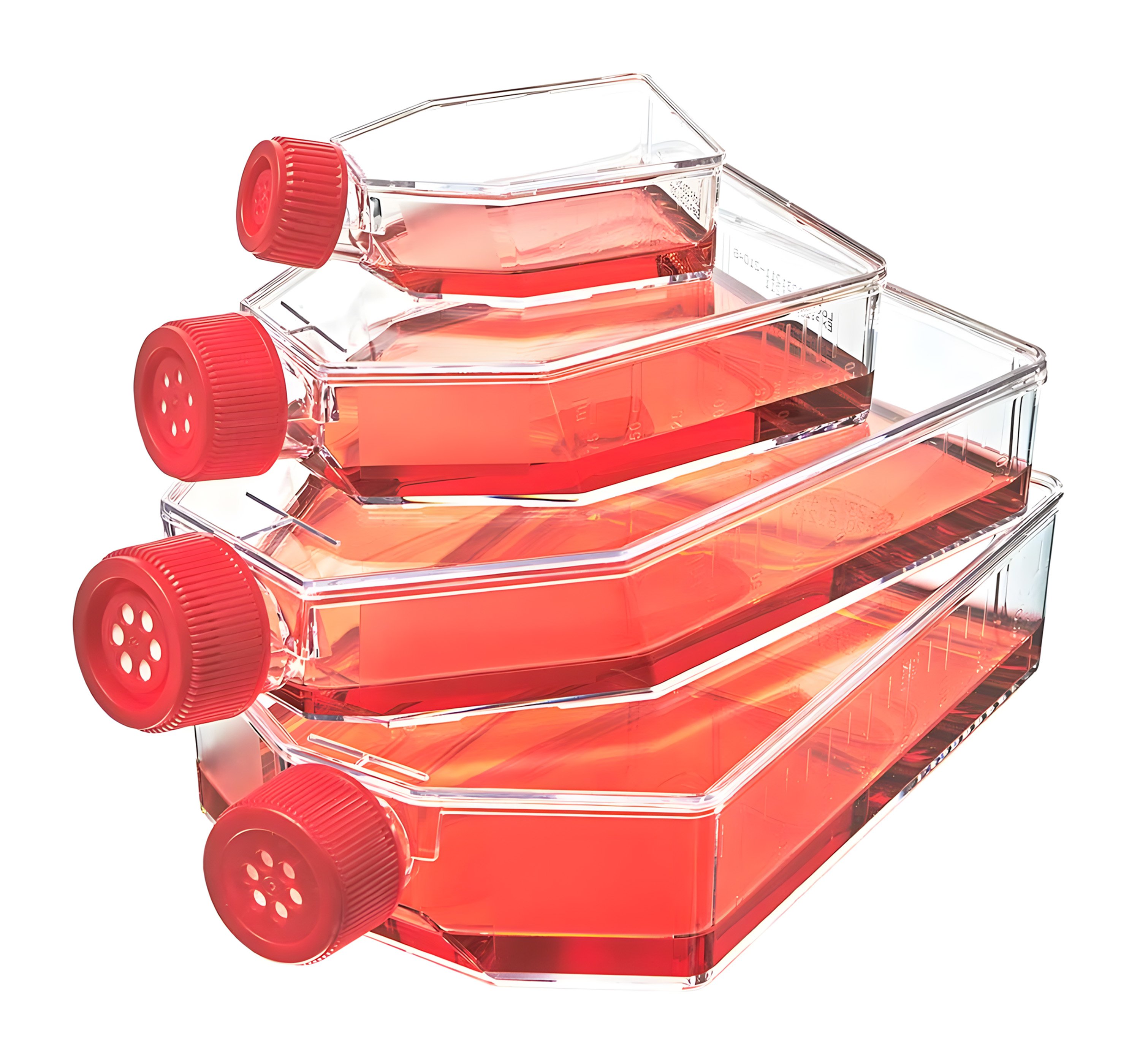 SureGro Multiple Well Plate Diamond SureGro 24-Well Plate - Flat Bottom ...