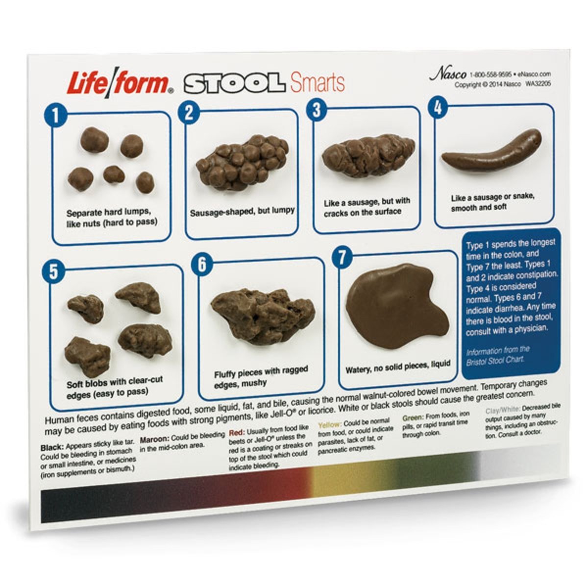 Healthy Human Poop Chart