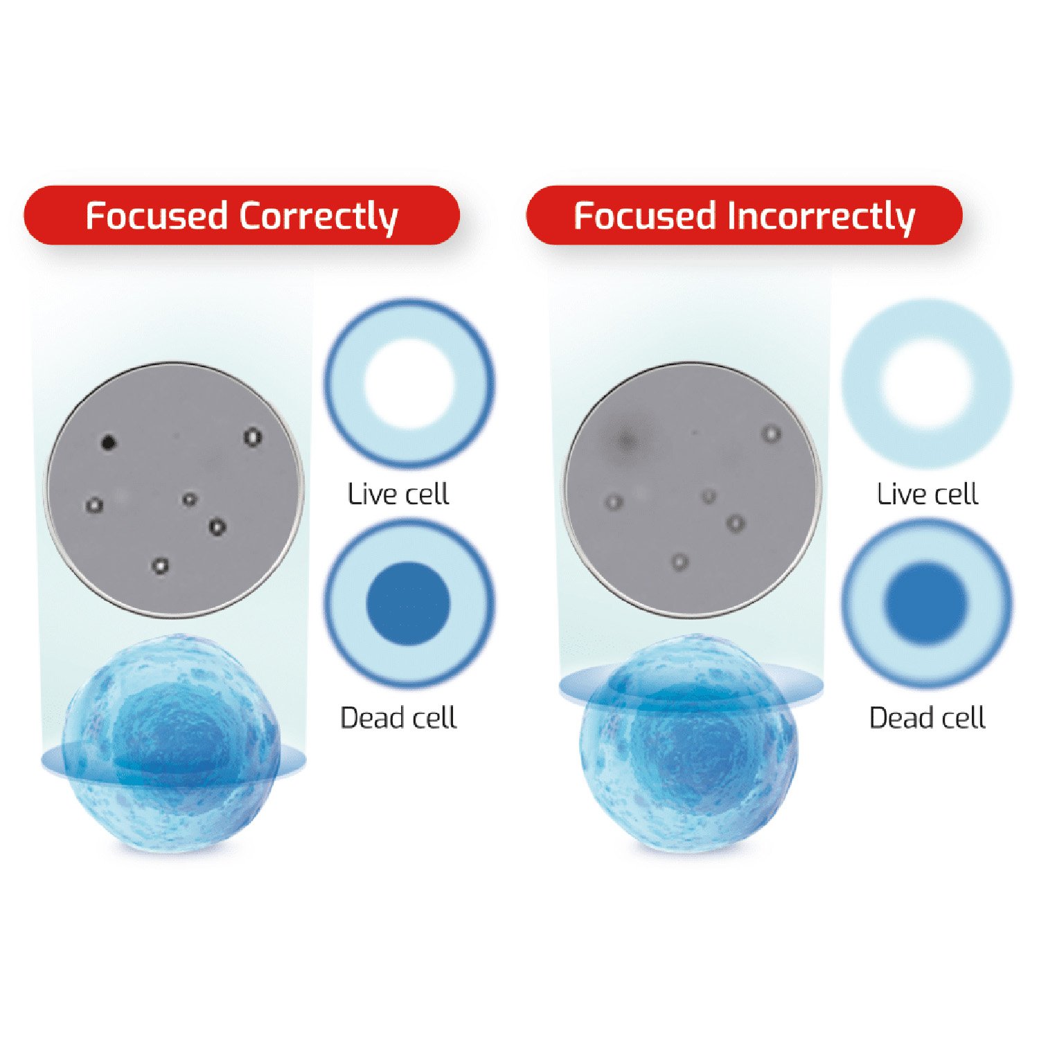 Benchmark E7500 Accuris QuadCount™ Automated Cell Counter