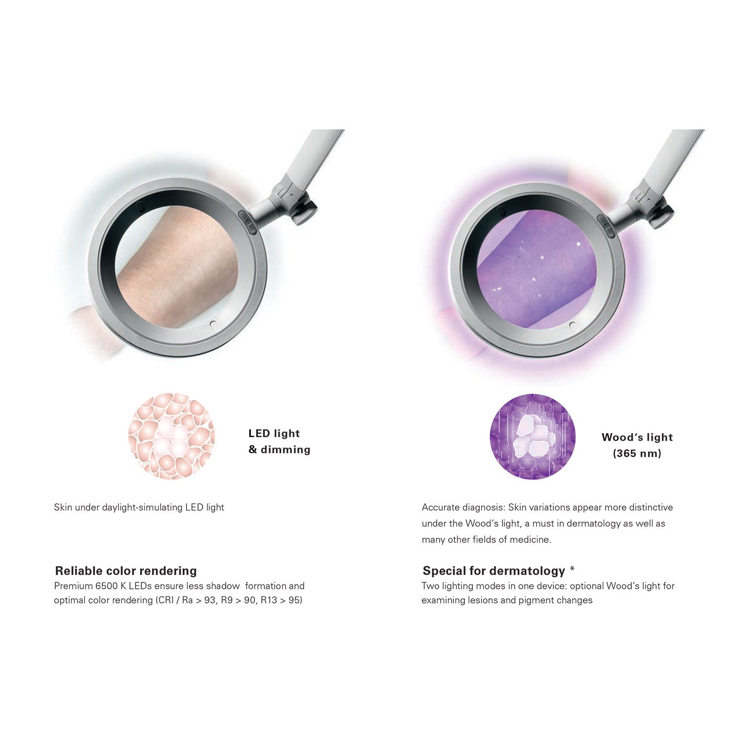 OPTICLUX 10-2 P TX LED Magnifier with Double Arm, Wood Light