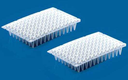 BrandTech BRAND PP White 96-Well Real-Time PCR Plate 0.2mL