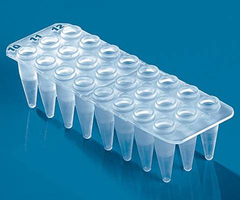 BrandTech BRAND 24- and 48-Well PCR Plates Autoclavable PP PCR Plates