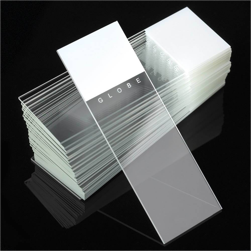 White Glass Microscope Slides Frosted Color Coded 1 End 1 Side 90 ...