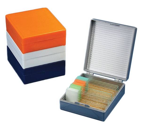 25-Place Microscope Slide Storage Box Cork Lined Base Globe Scientific