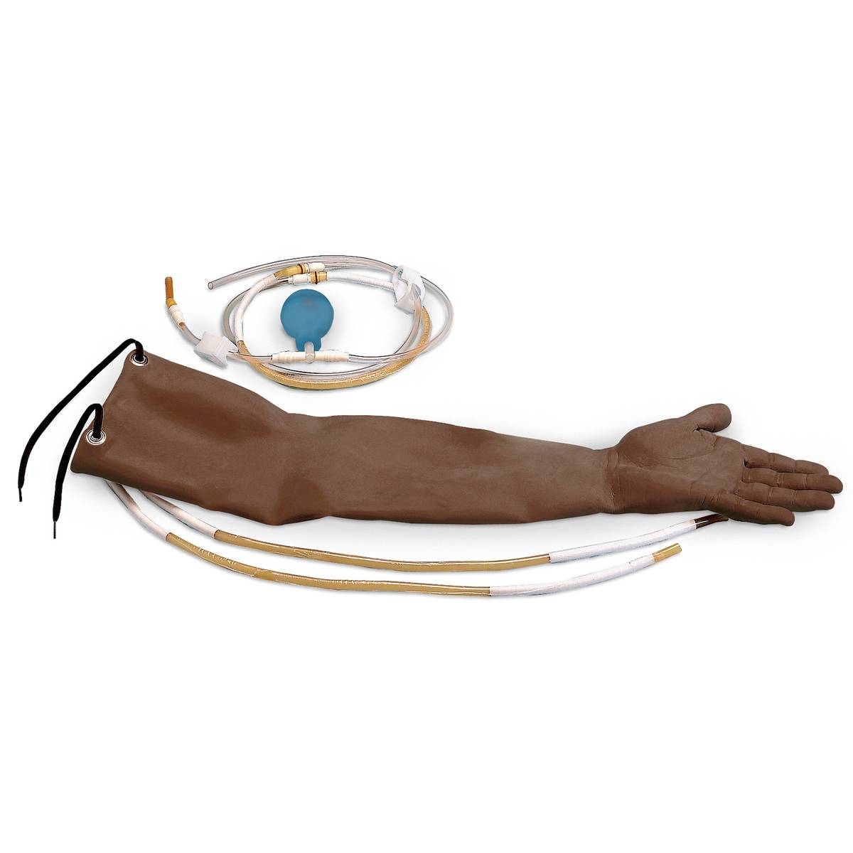 Life/form Arterial Puncture Arm Life/form Arterial Puncture Arm