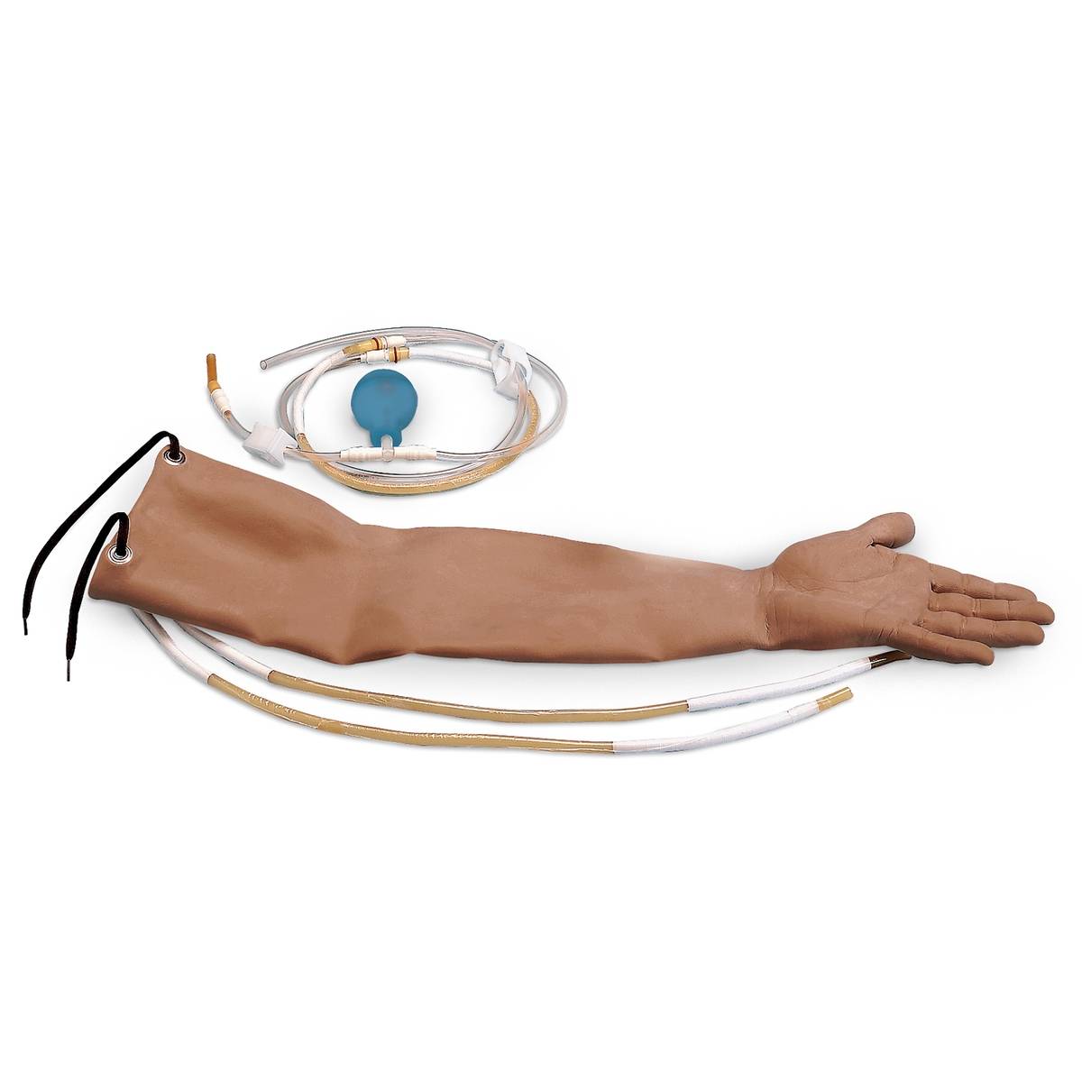 Life/form Arterial Puncture Arm