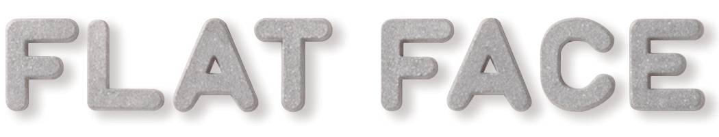 AllCraft Wellman LFU375 Unmounted 3/8"H Flat Face Lead Character