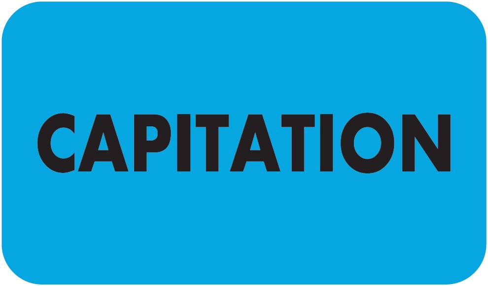 Arden Label MAP2980 Capitation Label Pre-Printed Medical Chart Label