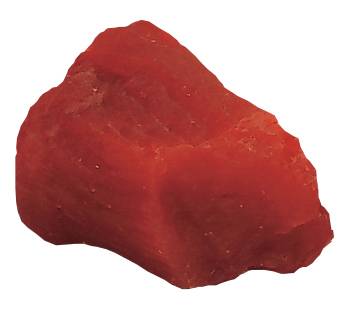 One Pound Muscle Replica Nasco WA14573