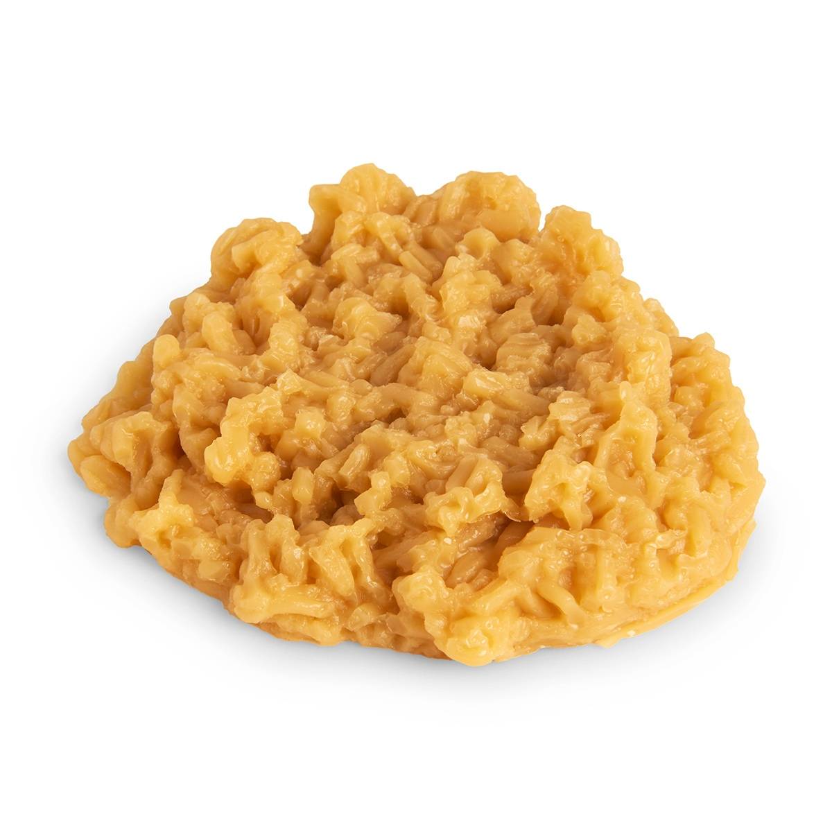 Nasco Life/form Rice Food Replica - Brown - 1/2 cup (120 ml)