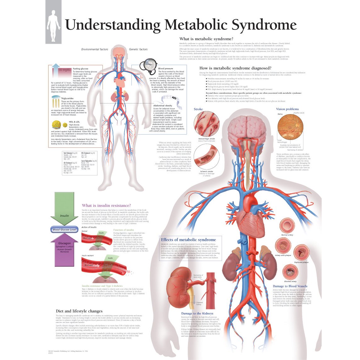 Metabolic Disorders