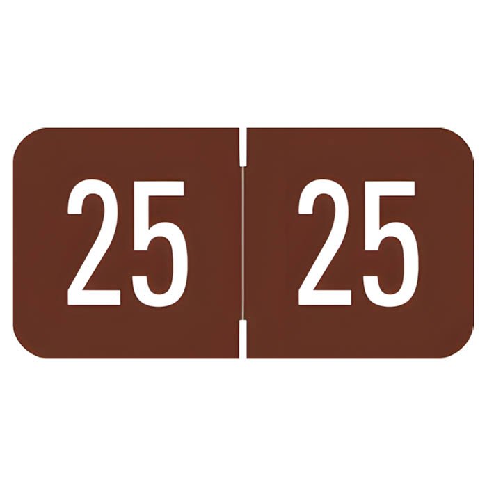 Arden DGYM-25-T4 Digi Color DGYM Series 2025 Year Labels