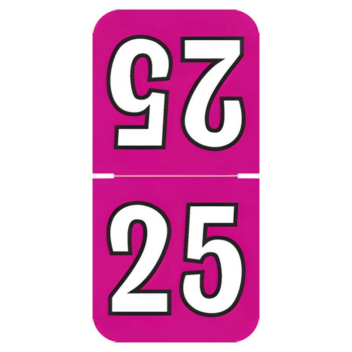 Arden TCYM-25-T4 Colwell Compatible 2025 Top-Tab Year Labels