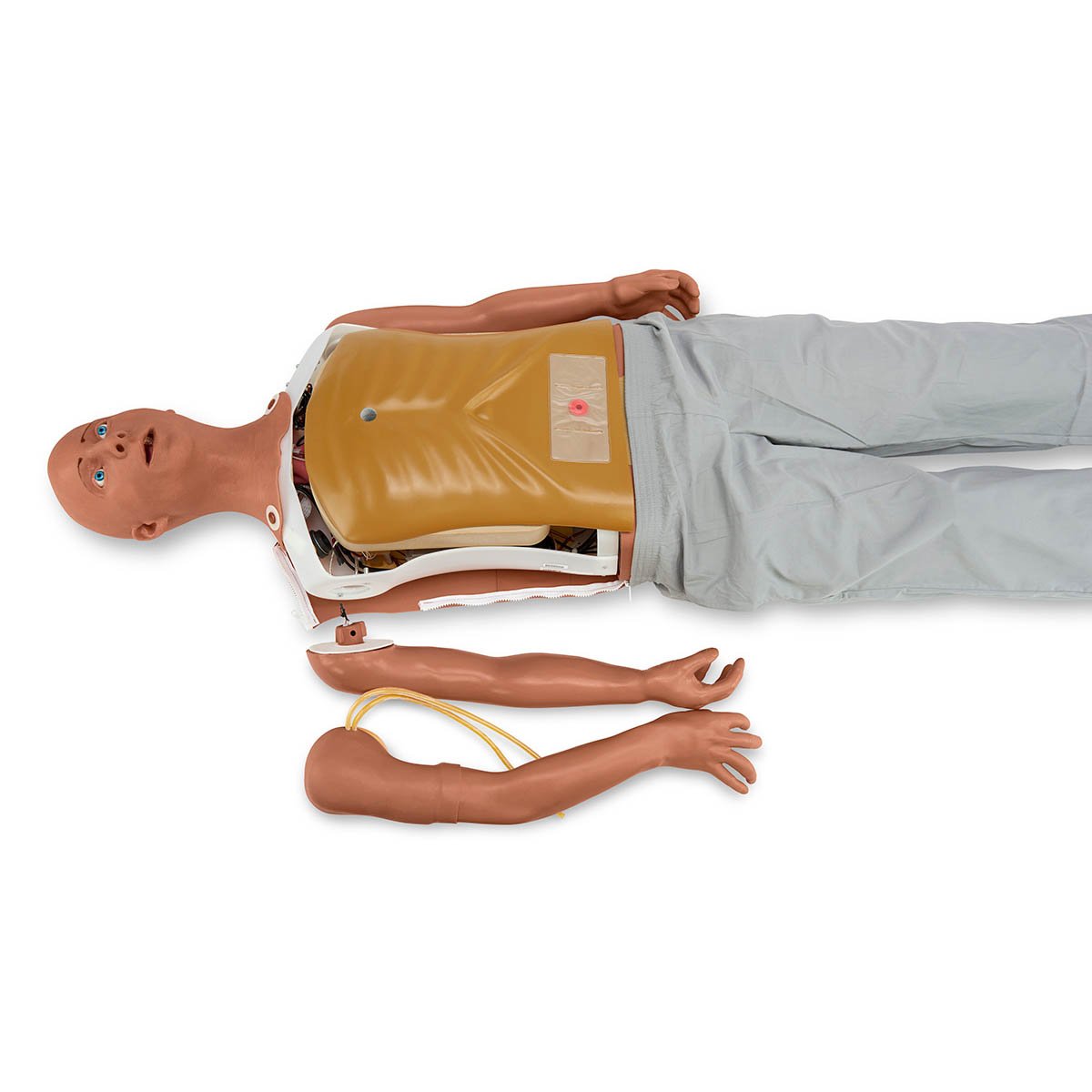 Simulaids ALEX Lite Patient Simulator with Speech Recognition Ability