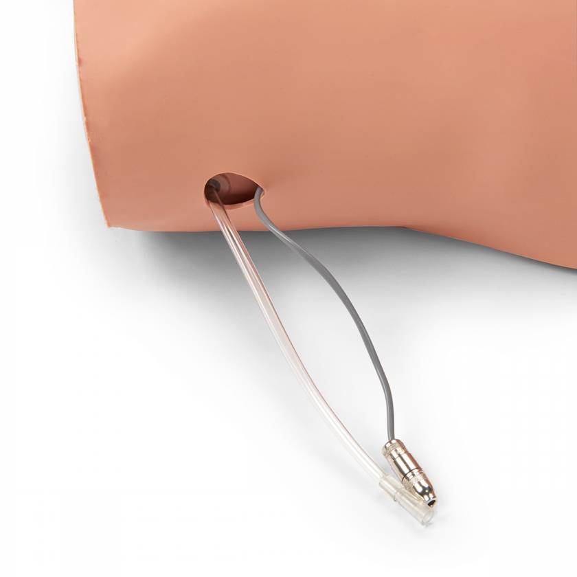 100-2850 Simulaids Brad Compact CPR Training Manikin with Electronics ...