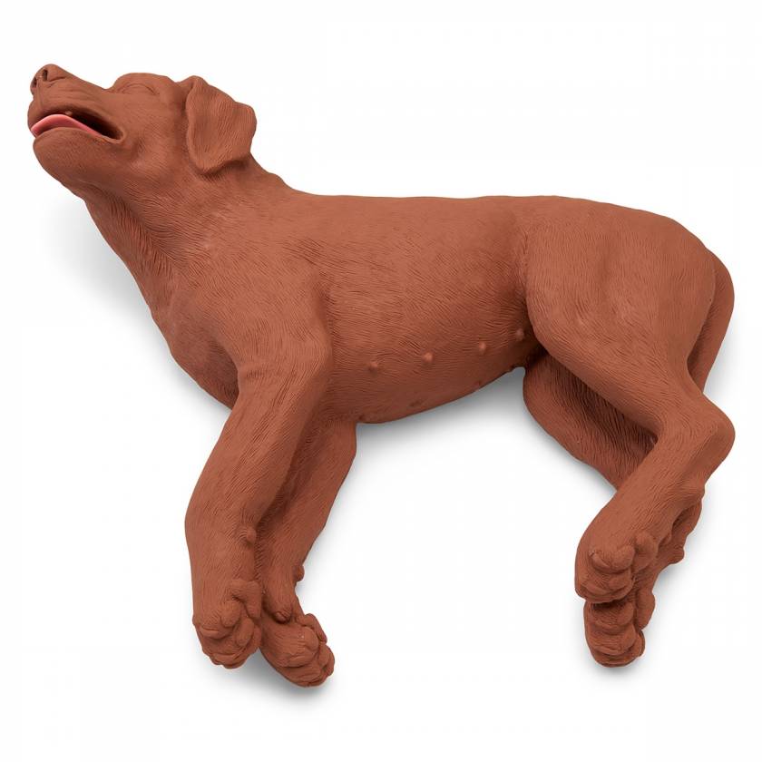 100-5000 Simulaids CasPeR the CPR Dog